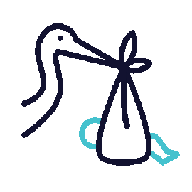 Obstetrics and Gynecology